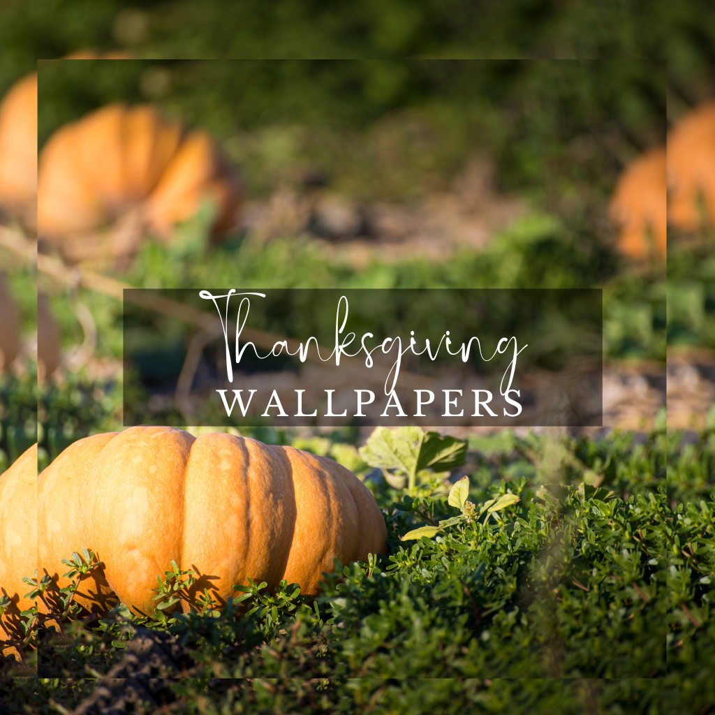 37 Captivating Thanksgiving Wallpapers to Elevate Your Screens and ...
